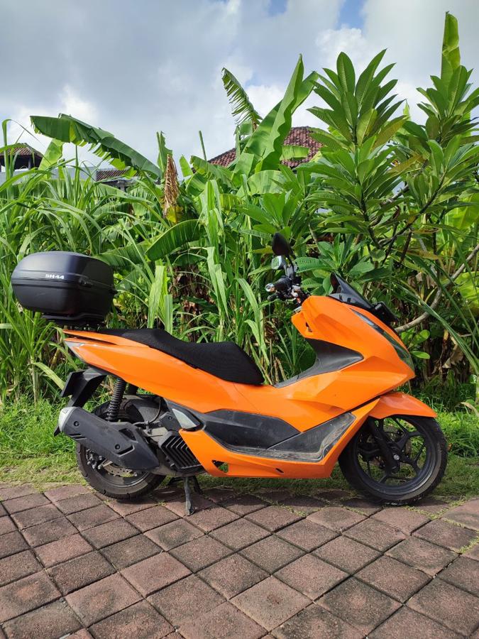 Louer une moto HONDA PCX 160 Orange à Bali | BikeHouse