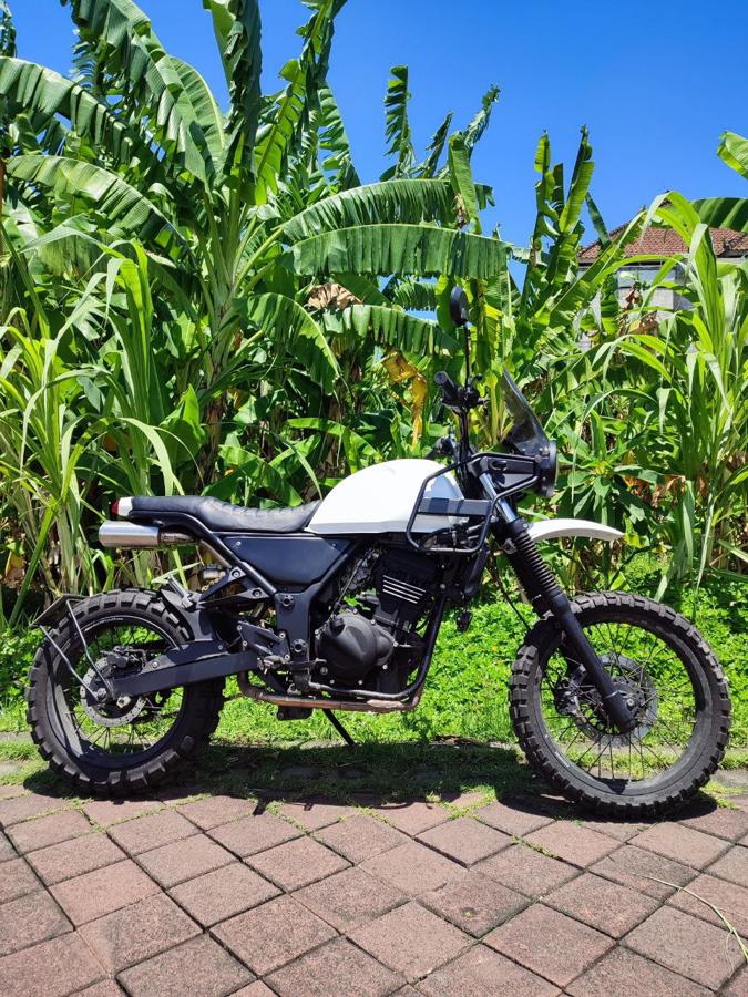 Rent a Bike Custom Frankenstein 300 cc in Bali | BikeHouse