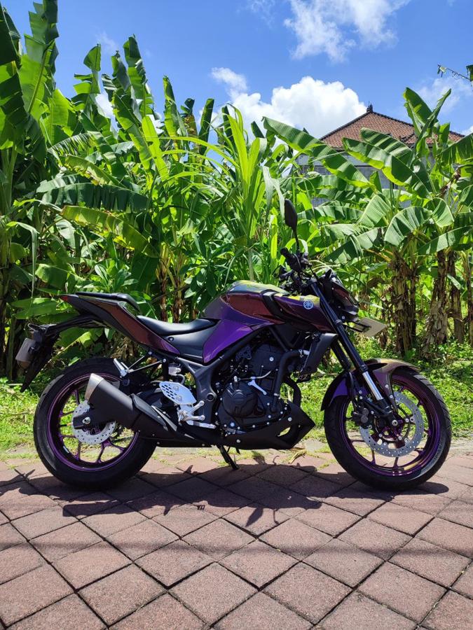Rent a Bike Yamaha MT25 Hameleon in Bali | BikeHouse