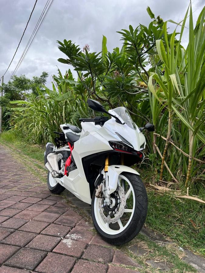 Rent a Bike Honda CBR250 SP QS White+blue in Bali | BikeHouse